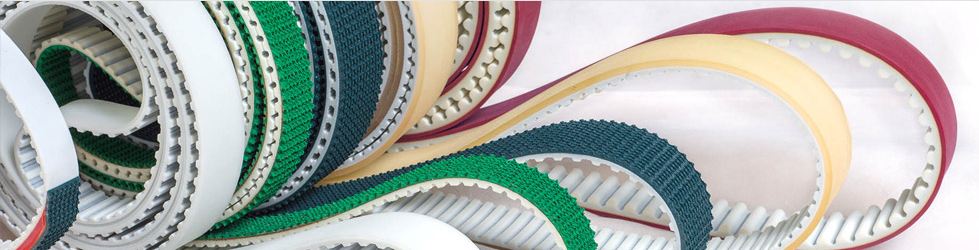 How to confirm the model of my timing belt? | VbeltOutlet